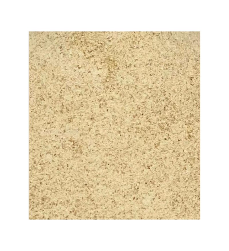 BIODATTES ALGÉRIE | Poudre de dattes