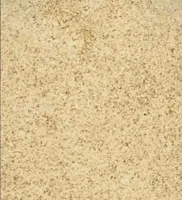 BIODATTES ALGÉRIE | Poudre de dattes