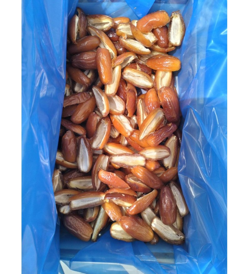 BIODATTES ALGÉRIE | Dattes industrielles