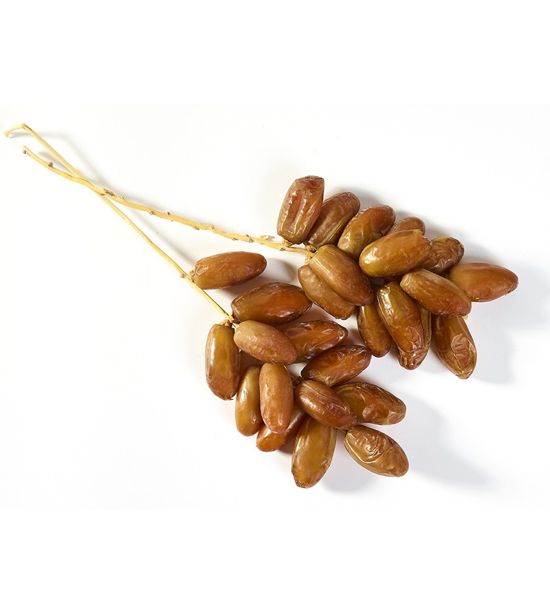 BIODATTES ALGÉRIE | Dattes Fraiches en branchettes